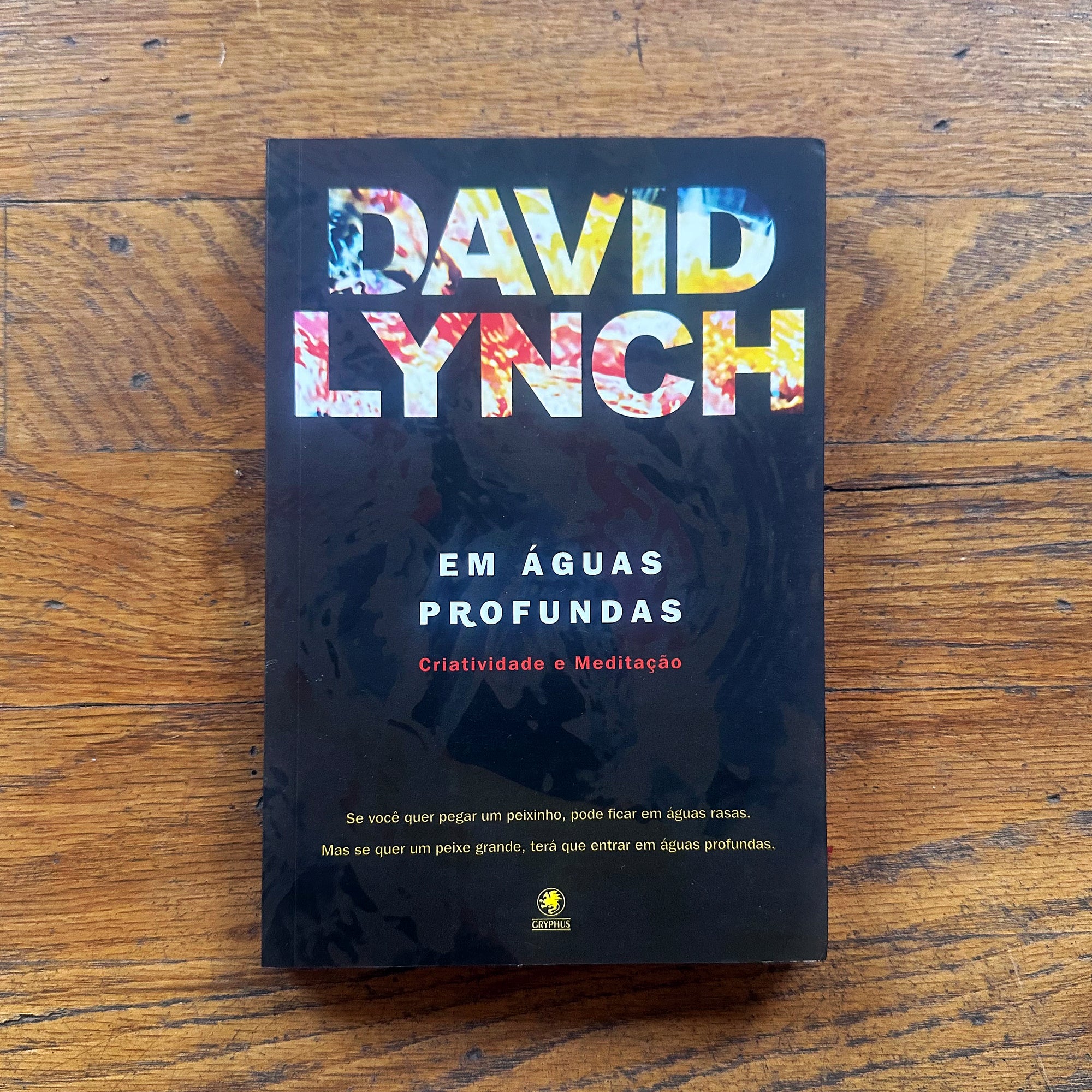 Catching the Big Fish Portuguese Paperback | Sacred Bones Records