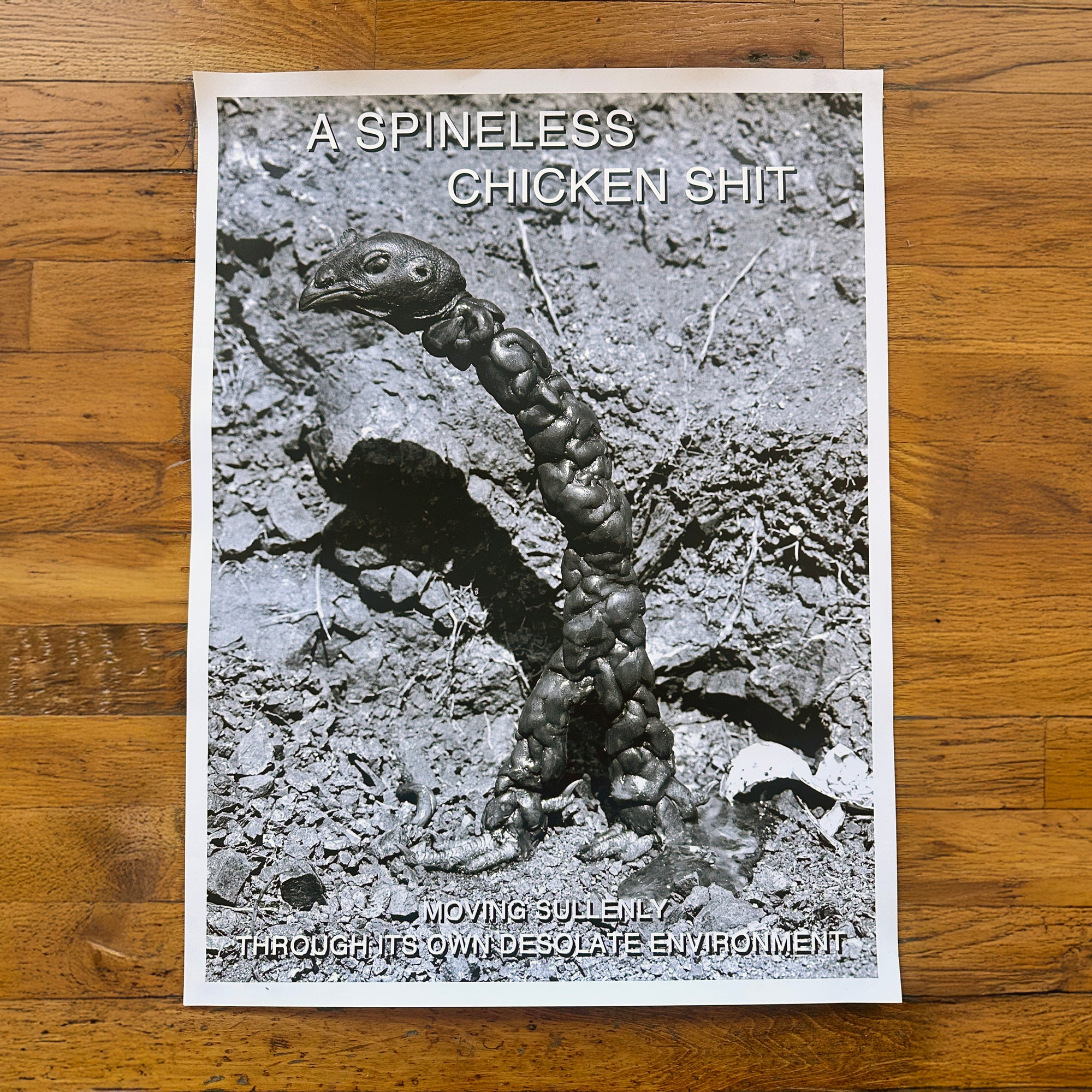 A Spineless Chicken Shit Poster | Sacred Bones Records