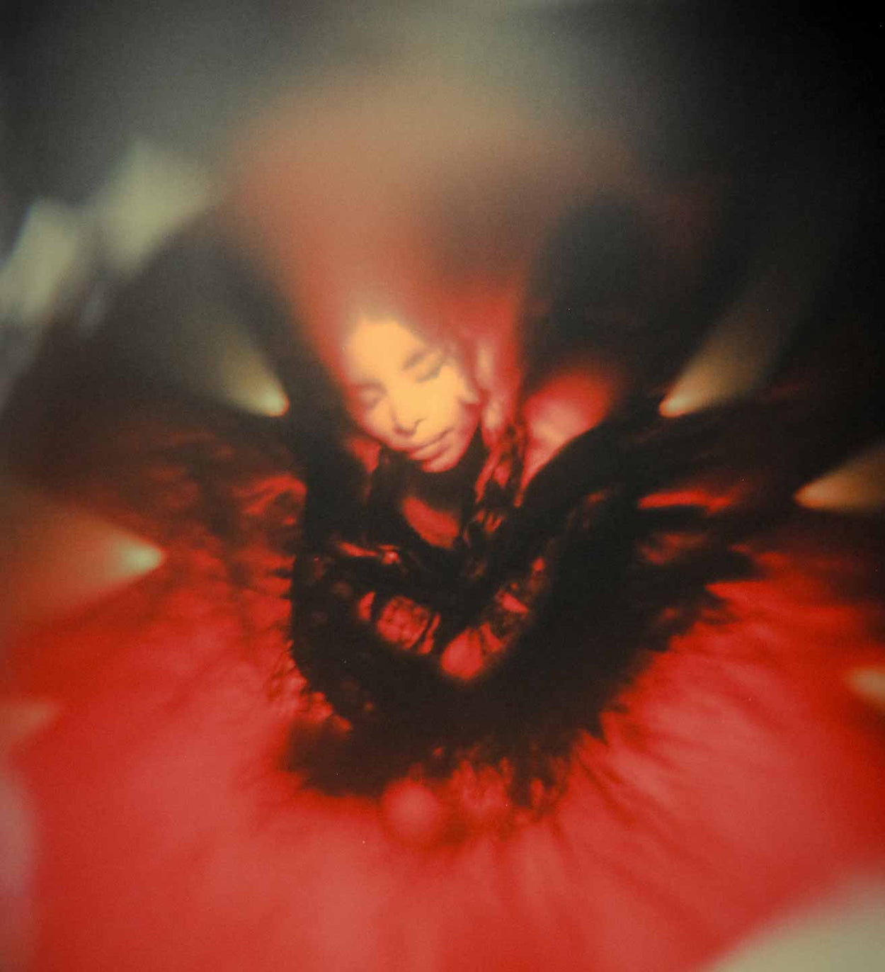 Releases | Sacred Bones Records