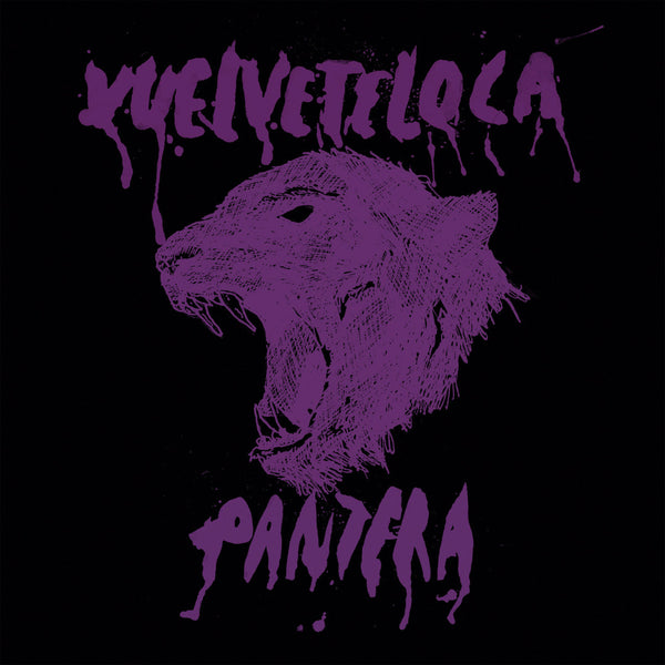 Pantera Album Covers